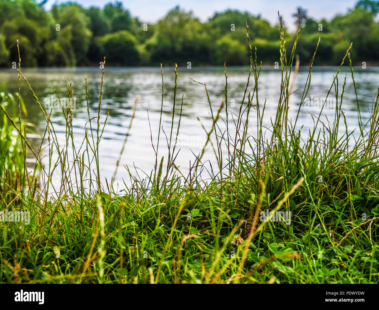 Neigh bridge country park hi-res stock photography and images - Alamy