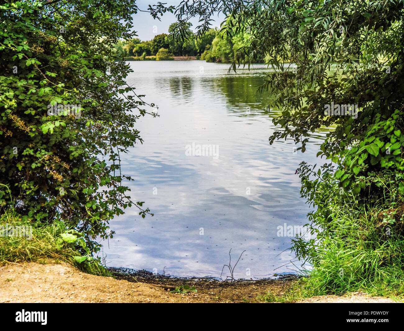 A view of the lake at Neigh Bridge Country Park in Gloucestershire ...