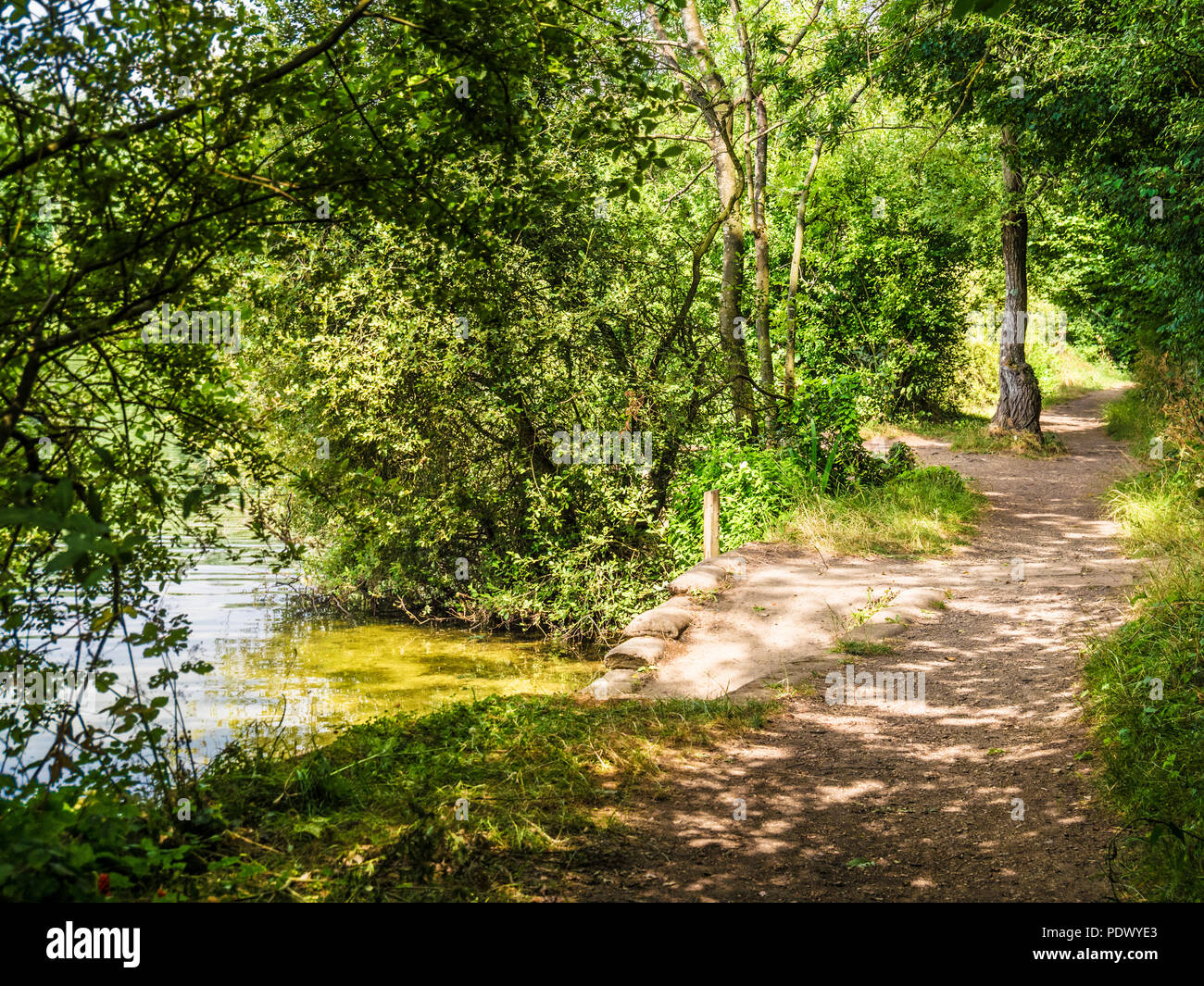 A view of the lake at Neigh Bridge Country Park in Gloucestershire ...