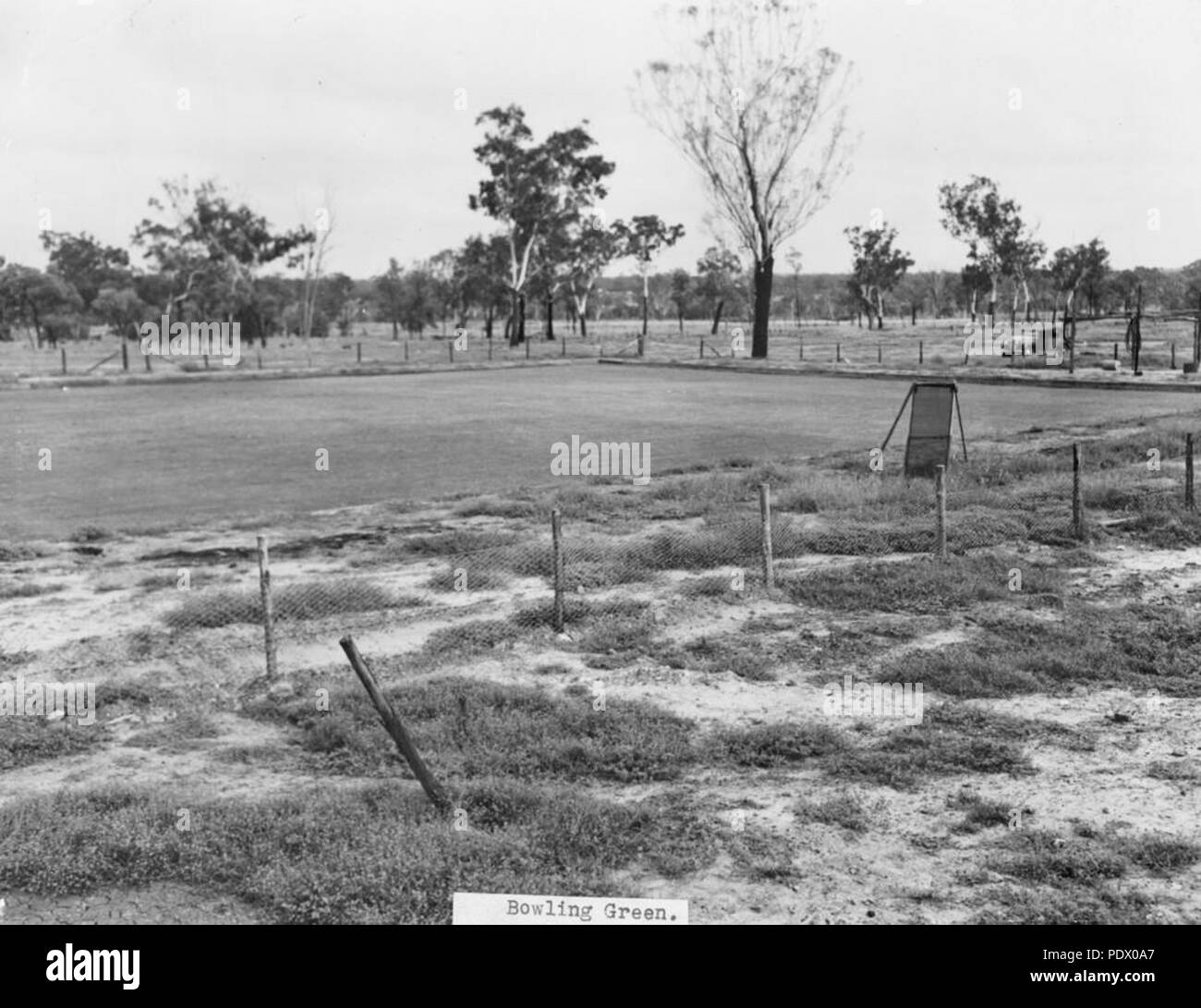 Green features Black and White Stock Photos & Images - Alamy