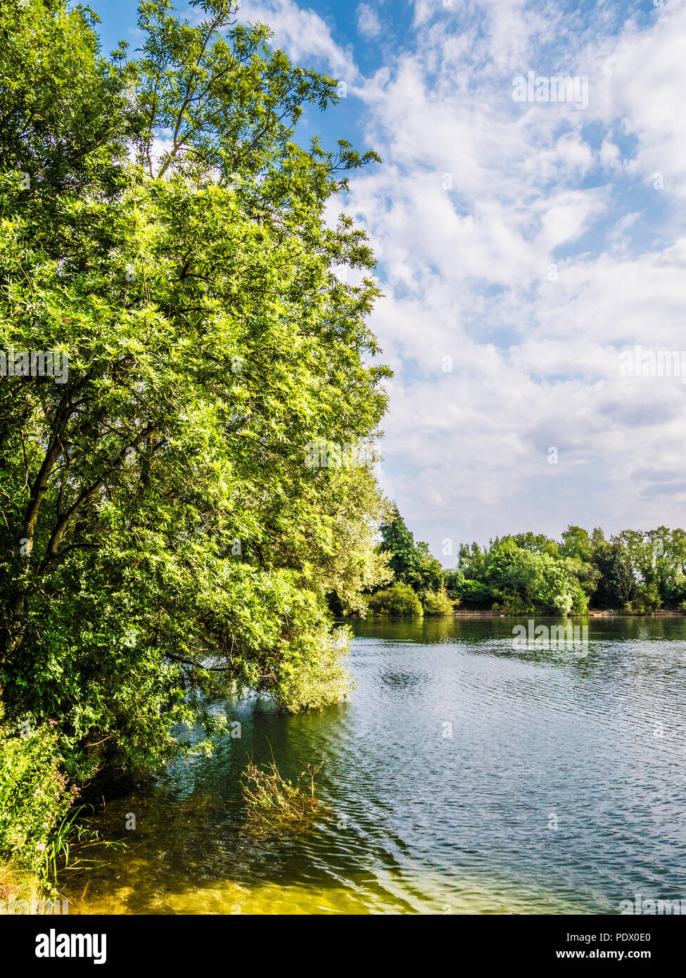 A view of the lake at Neigh Bridge Country Park in Gloucestershire ...