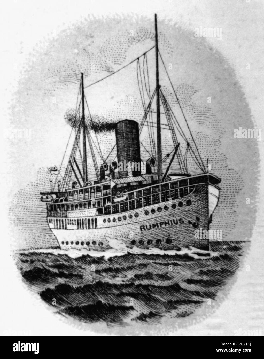 Rumphius hi-res stock photography and images - Alamy