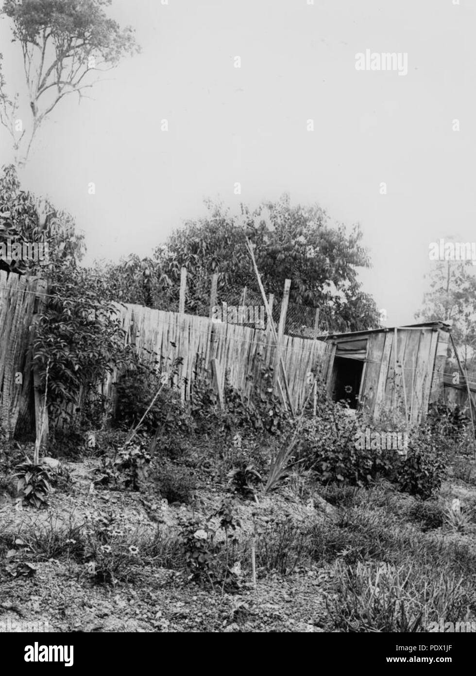 Vegetables flowers garden Black and White Stock Photos & Images - Alamy
