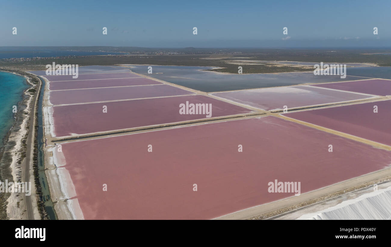 rose caribbean salt lake Bonaire island aerial drone top view Stock ...