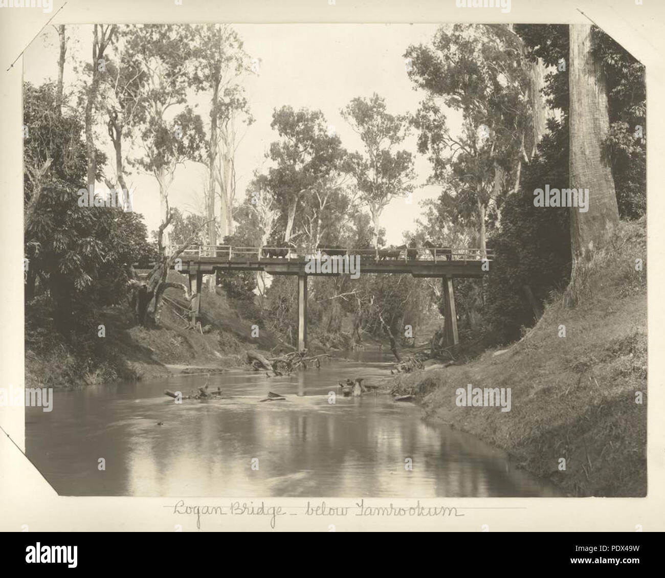 252 StateLibQld 1 232902 Riders on the Logan Bridge below Tamrookum ...