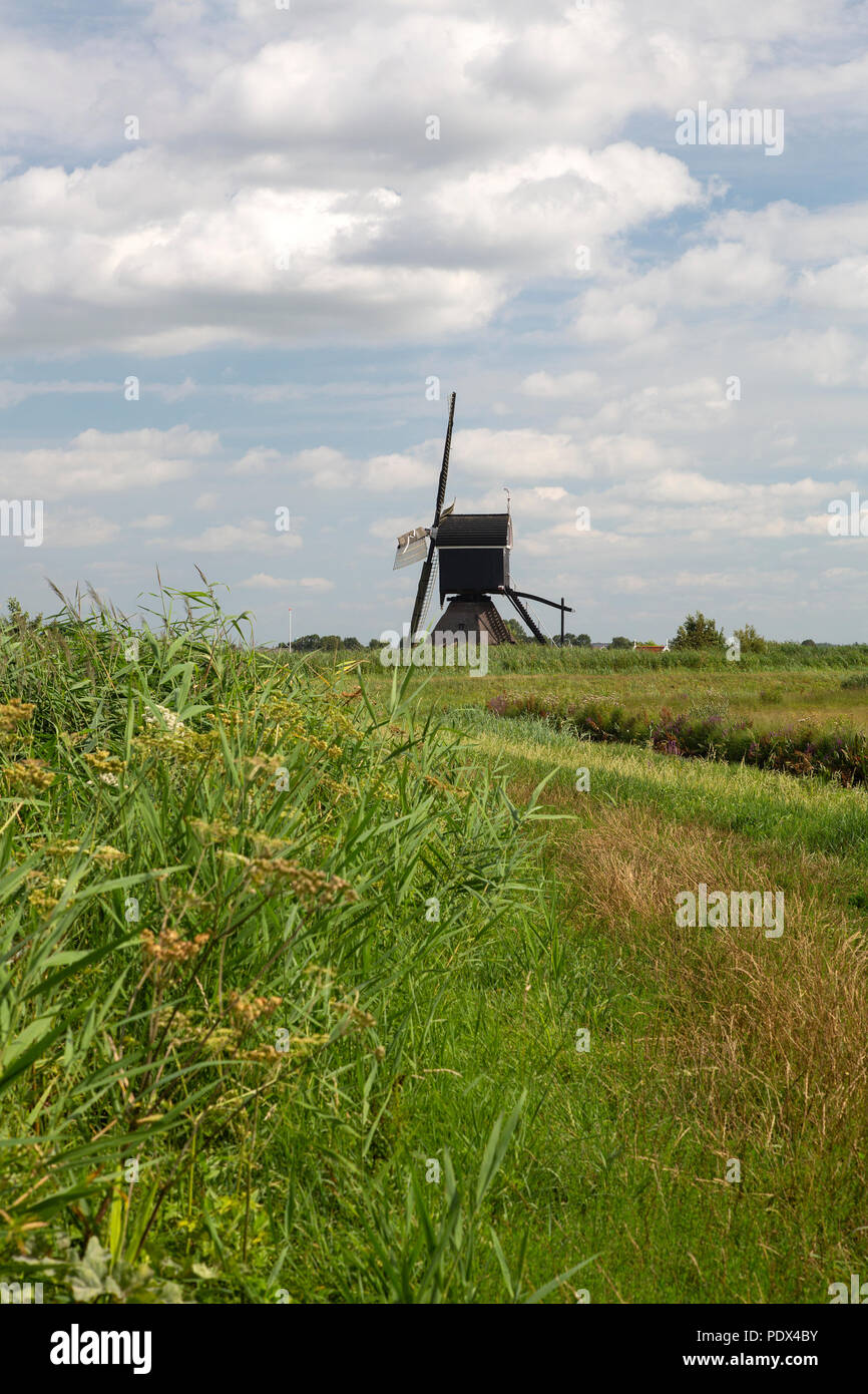 Windmilll in Dutch polder, Streefkerk, South Holland, Netherlands Stock ...