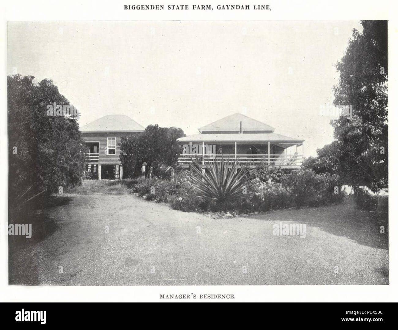 255 StateLibQld 1 240075 Manager's residence of the Biggenden State ...