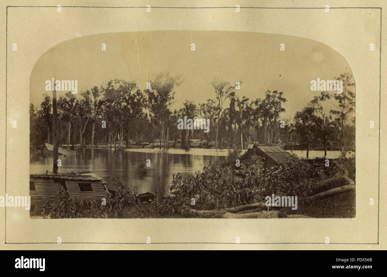 Submerged timber hi-res stock photography and images - Alamy