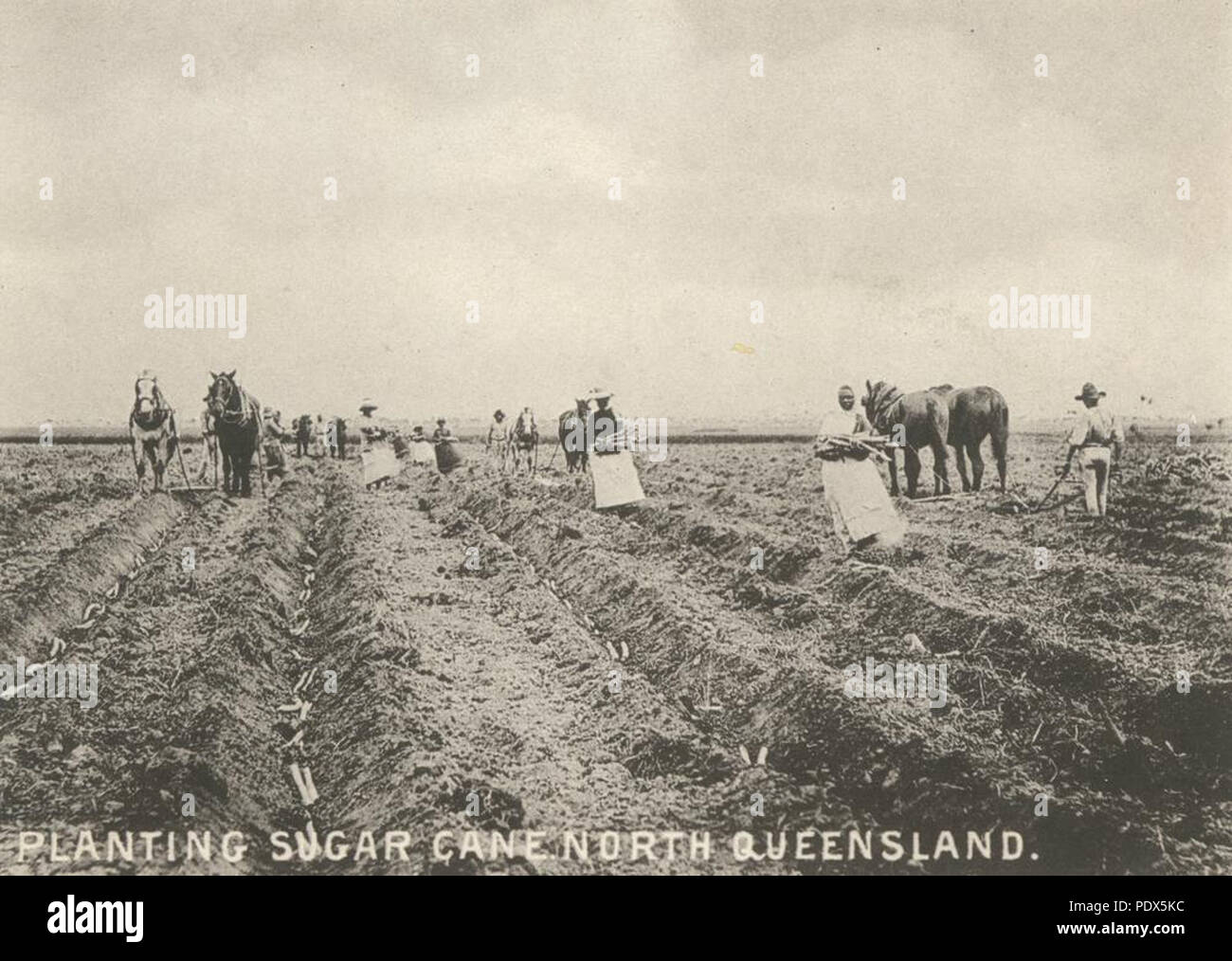 Planting 1 hi-res stock photography and images - Alamy