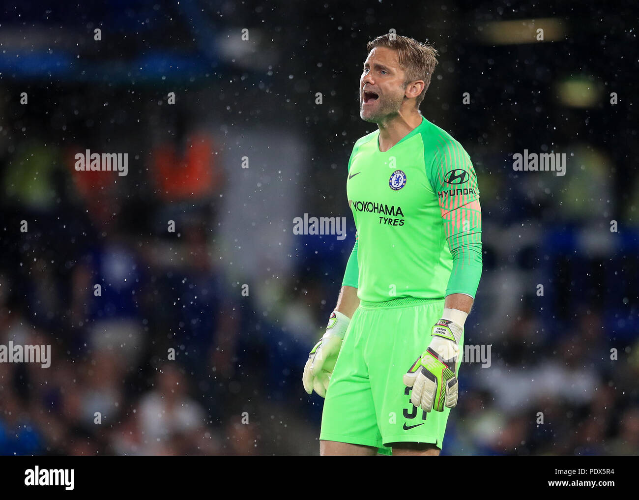 Chelsea goalkeeper Robert Green Stock Photo - Alamy