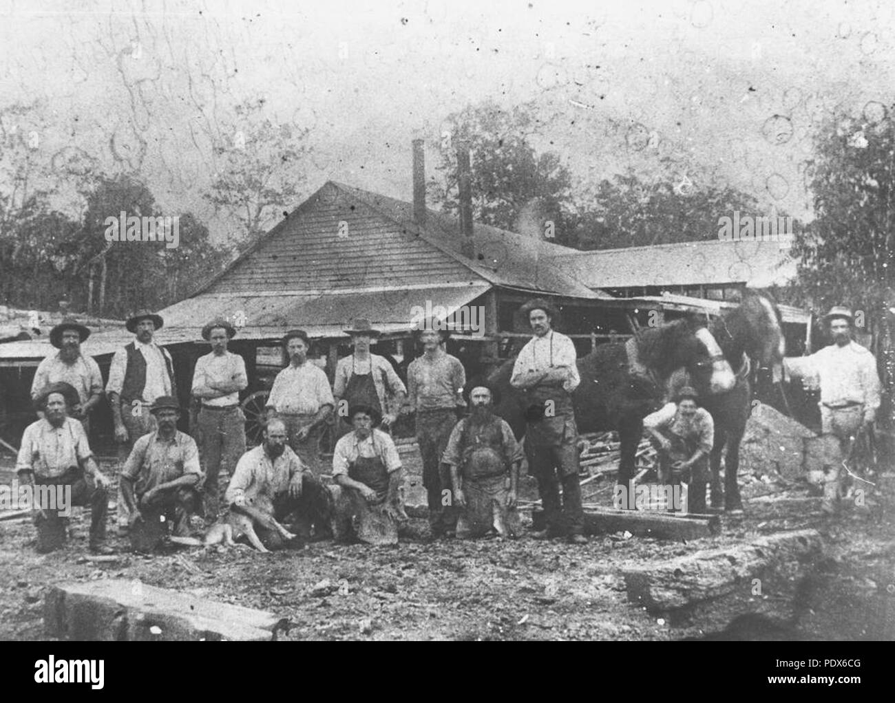 Sawmill workers hi-res stock photography and images - Alamy