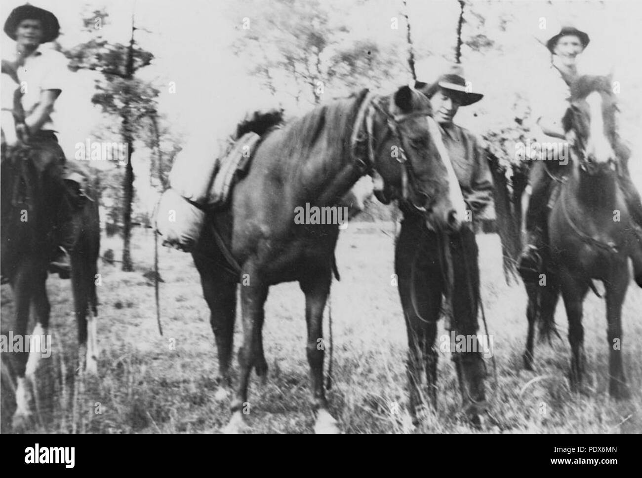 262 StateLibQld 1 295099 Boundary riders with their horses at Ularunda ...