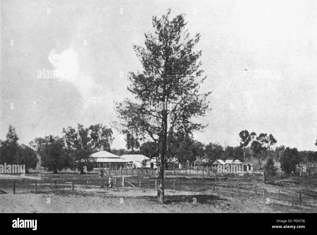 Alice downs hi-res stock photography and images - Alamy