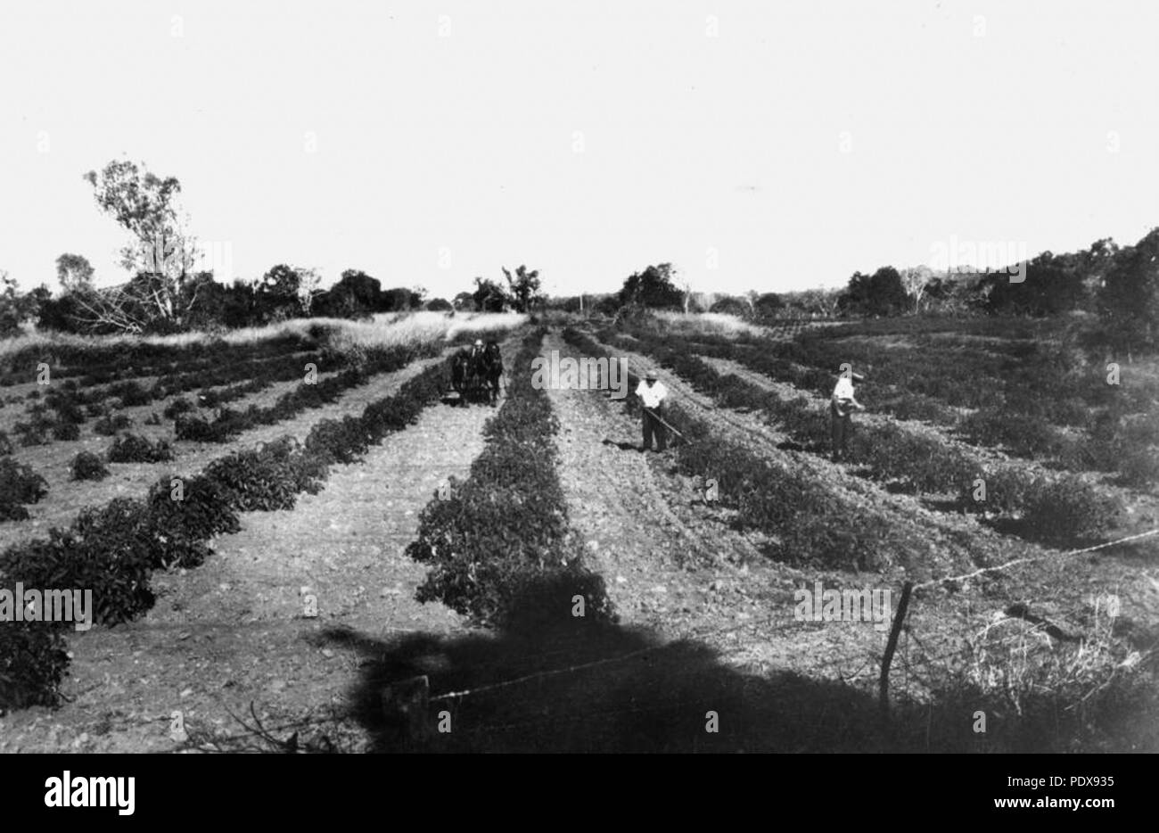 Farm workers 1930s hi-res stock photography and images - Alamy