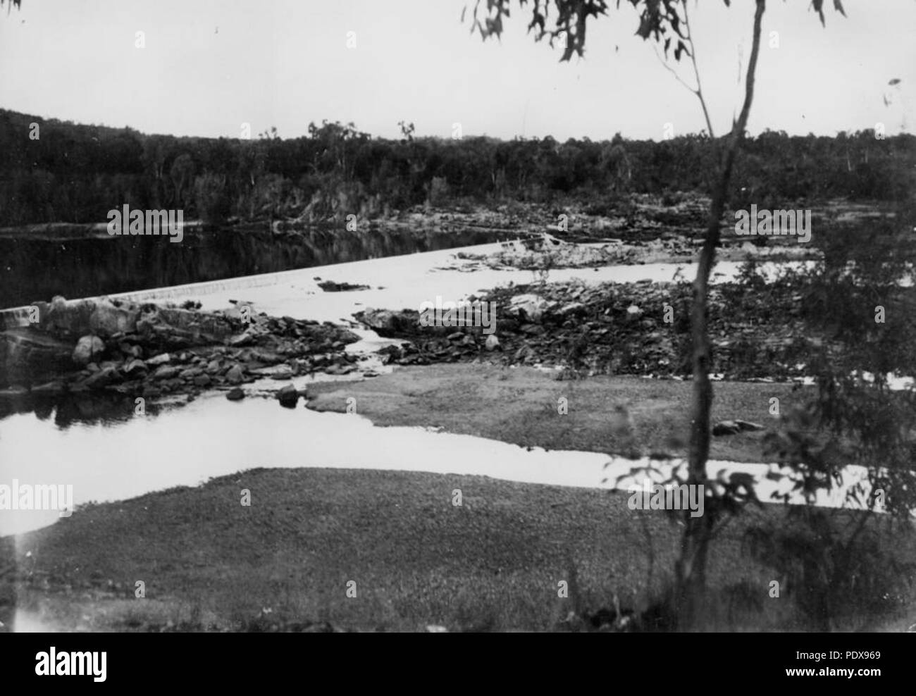 275 StateLibQld 1 86772 Stretch of water at the Charters Towers Weir ...