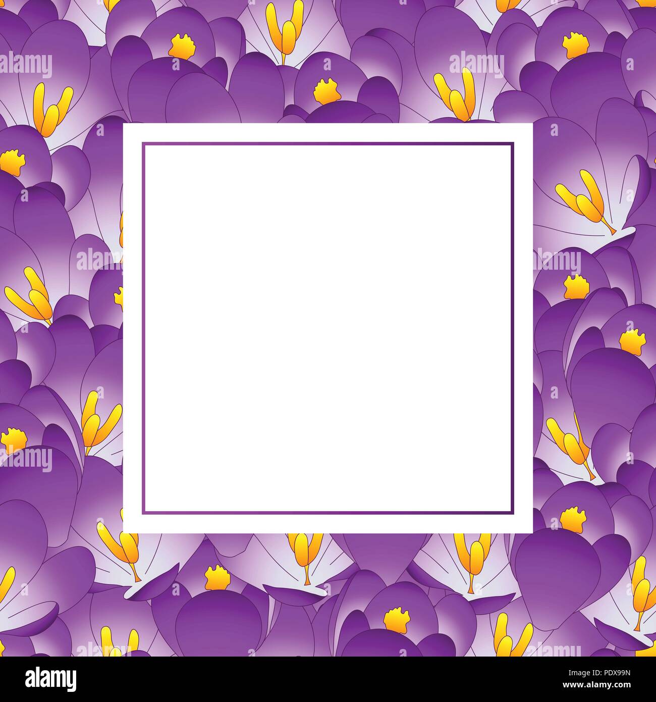 Purple Crocus Flower Banner Card. Vector Illustration Stock Vector ...