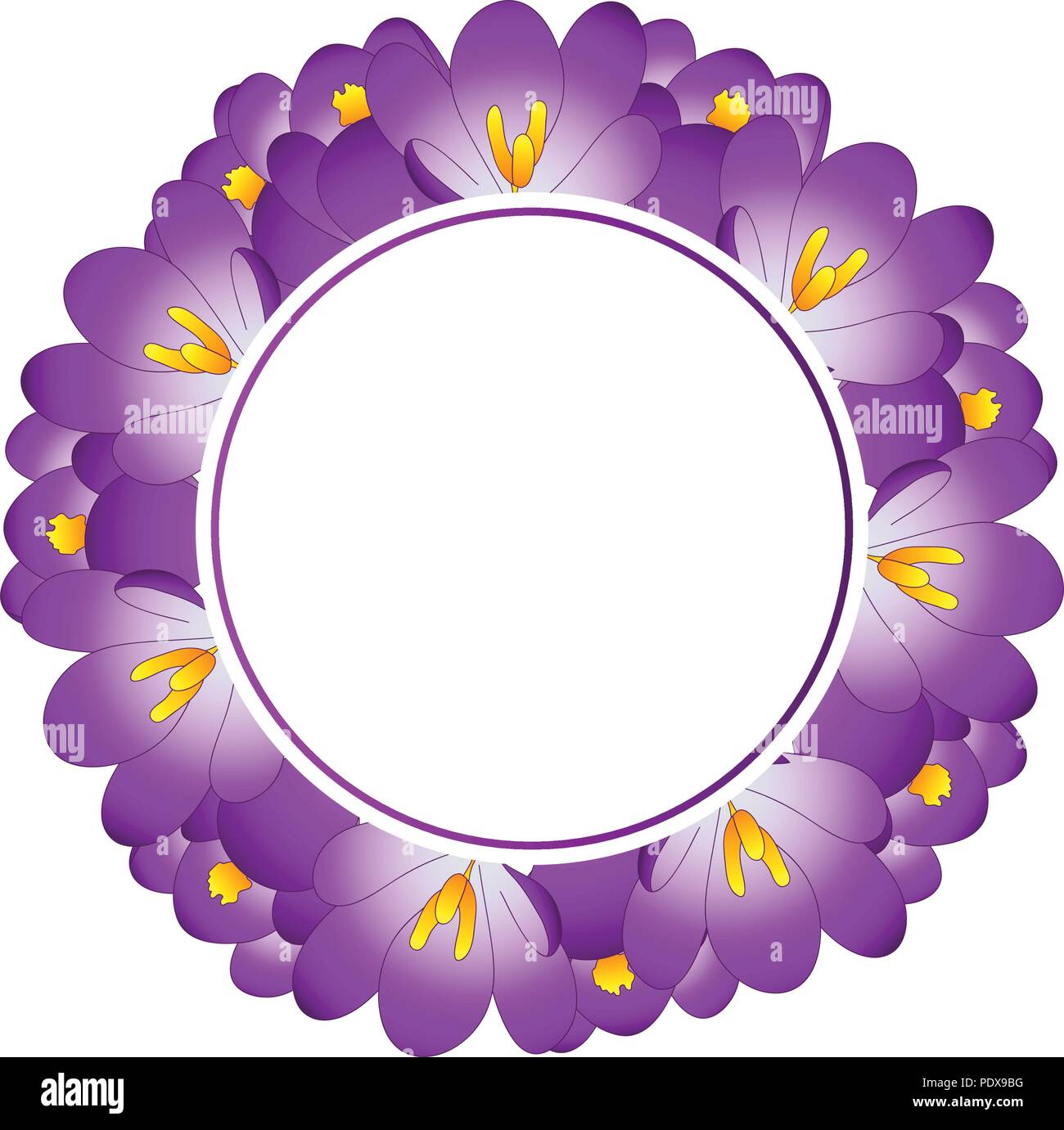 Purple Crocus Flower Banner Wreath. Vector Illustration Stock Vector ...