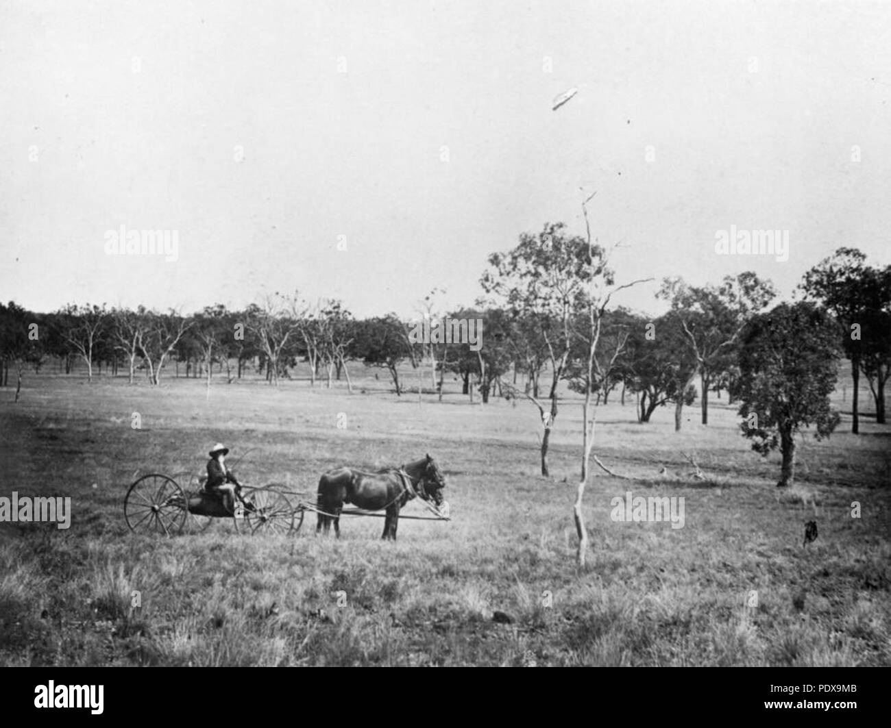 Jimbour station hi-res stock photography and images - Alamy