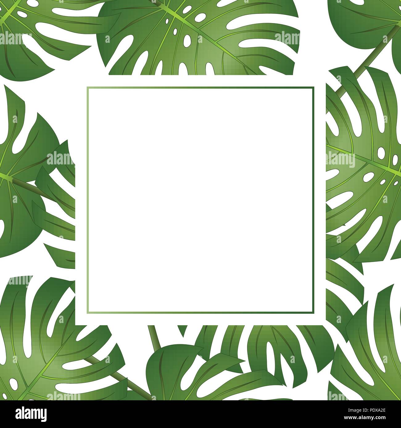 Philodendron Monstera Leaf Banner Card. Vector Illustration Stock ...