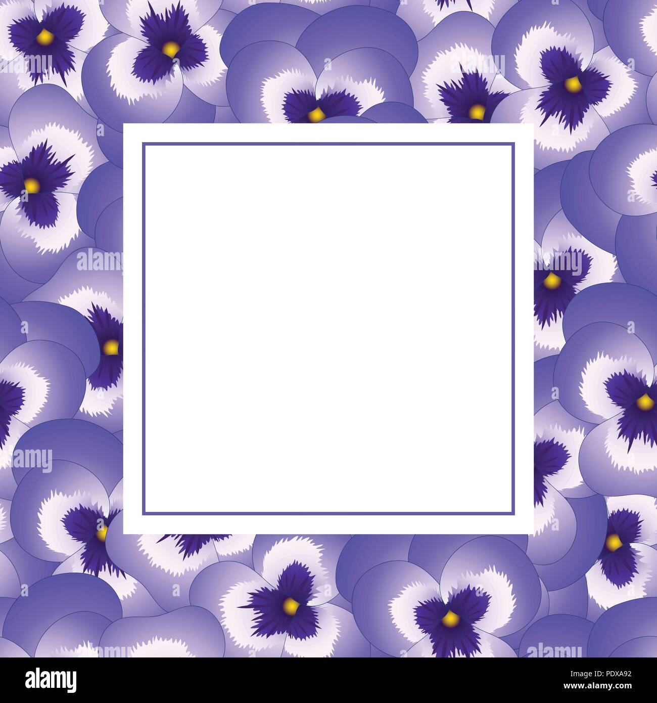 Violet Viola Garden Pansy Flower Banner Card. Vector Illustration Stock ...