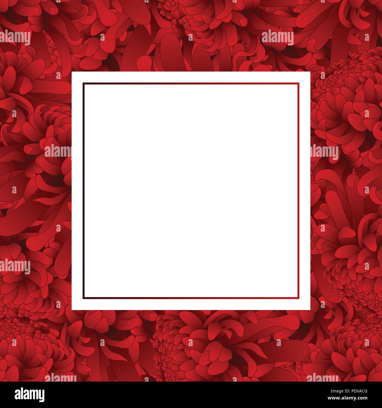 Red Chrysanthemum, Kiku Japanese Flower Banner Card. Vector ...