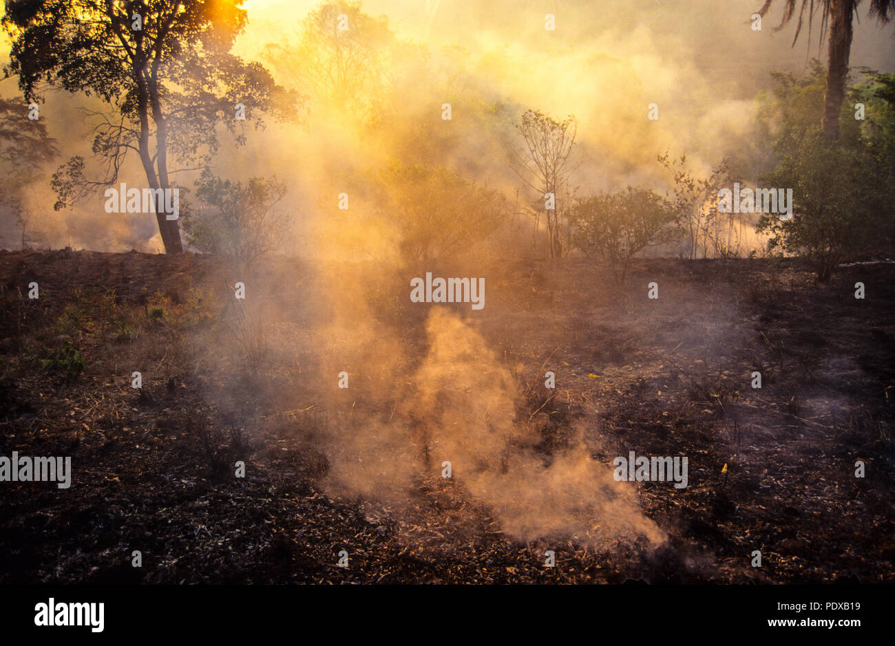 Amazon rainforest deforestation brazil hi-res stock photography and ...