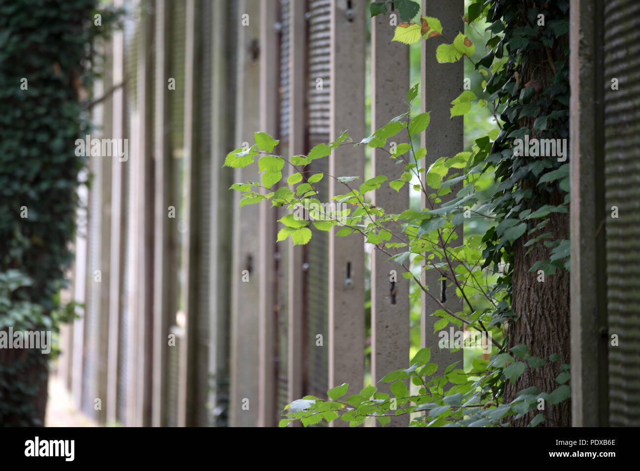 Expanded metal fence hi-res stock photography and images - Alamy
