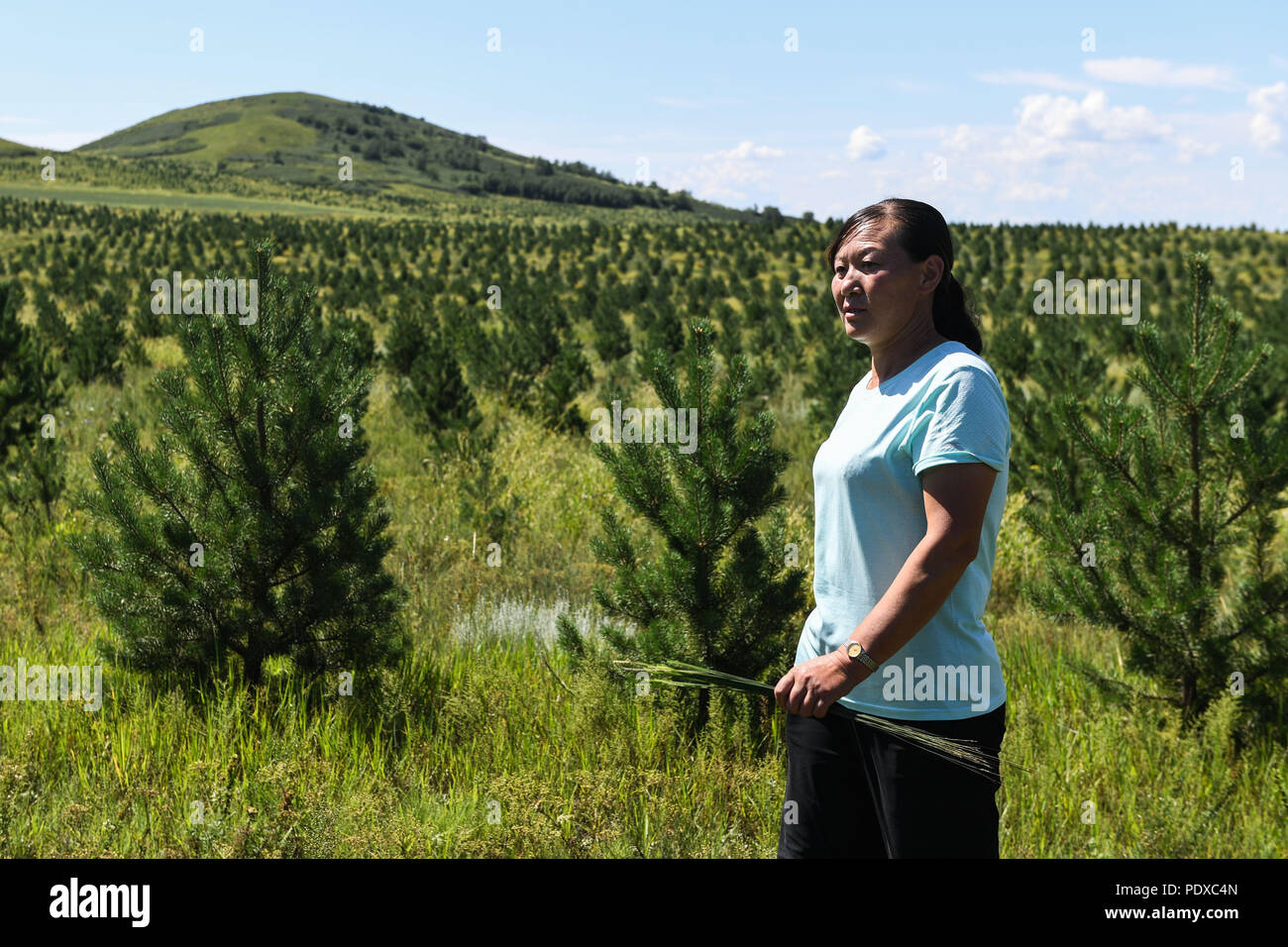 Duolun, China's Inner Mongolia Autonomous Region. 9th Aug, 2018. Li ...