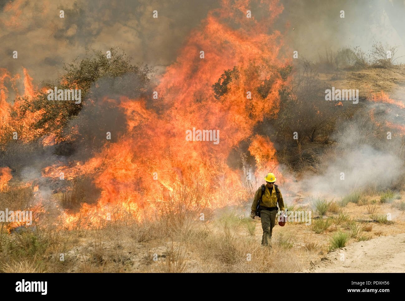 Lake Elsinore, California, USA. 10th Aug, 2018. Firefighters battle the ...