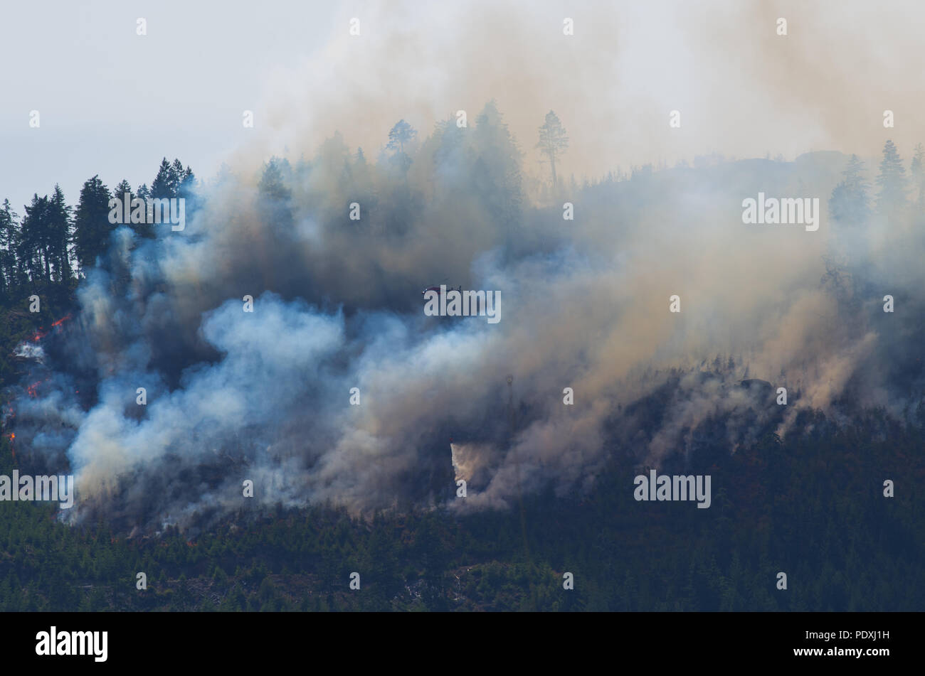 Helicopters Battling Port Alberni Arbutus Ridge Forest Fire Stock Photo ...