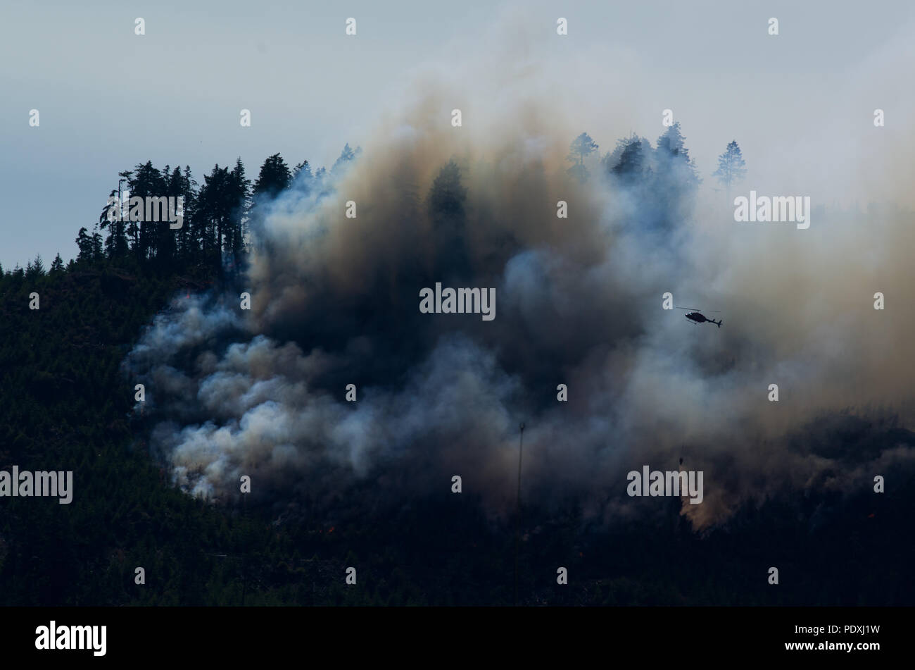 Helicopters Battling Port Alberni Arbutus Ridge Forest Fire Stock Photo ...