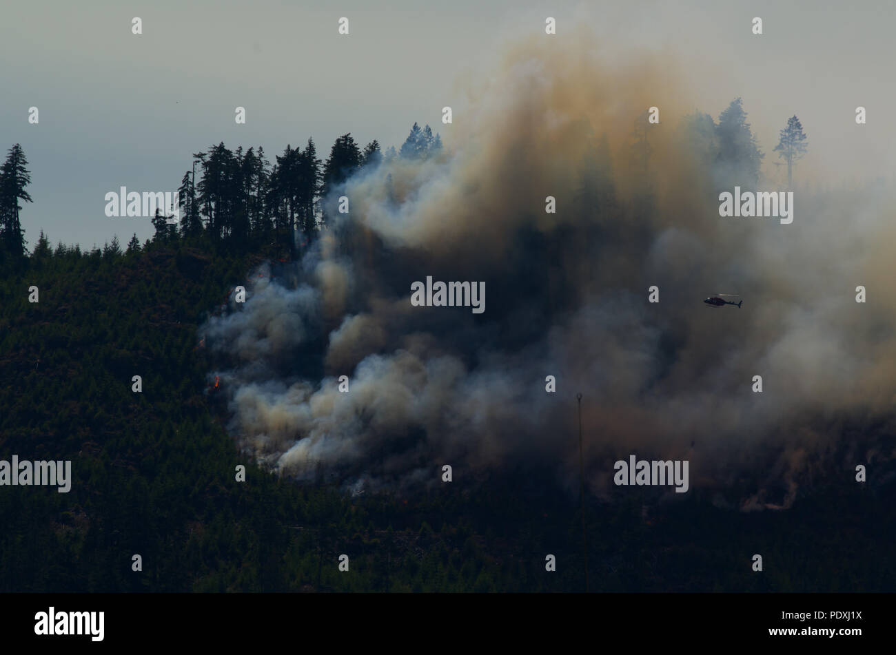 Helicopters Battling Port Alberni Arbutus Ridge Forest Fire Stock Photo ...