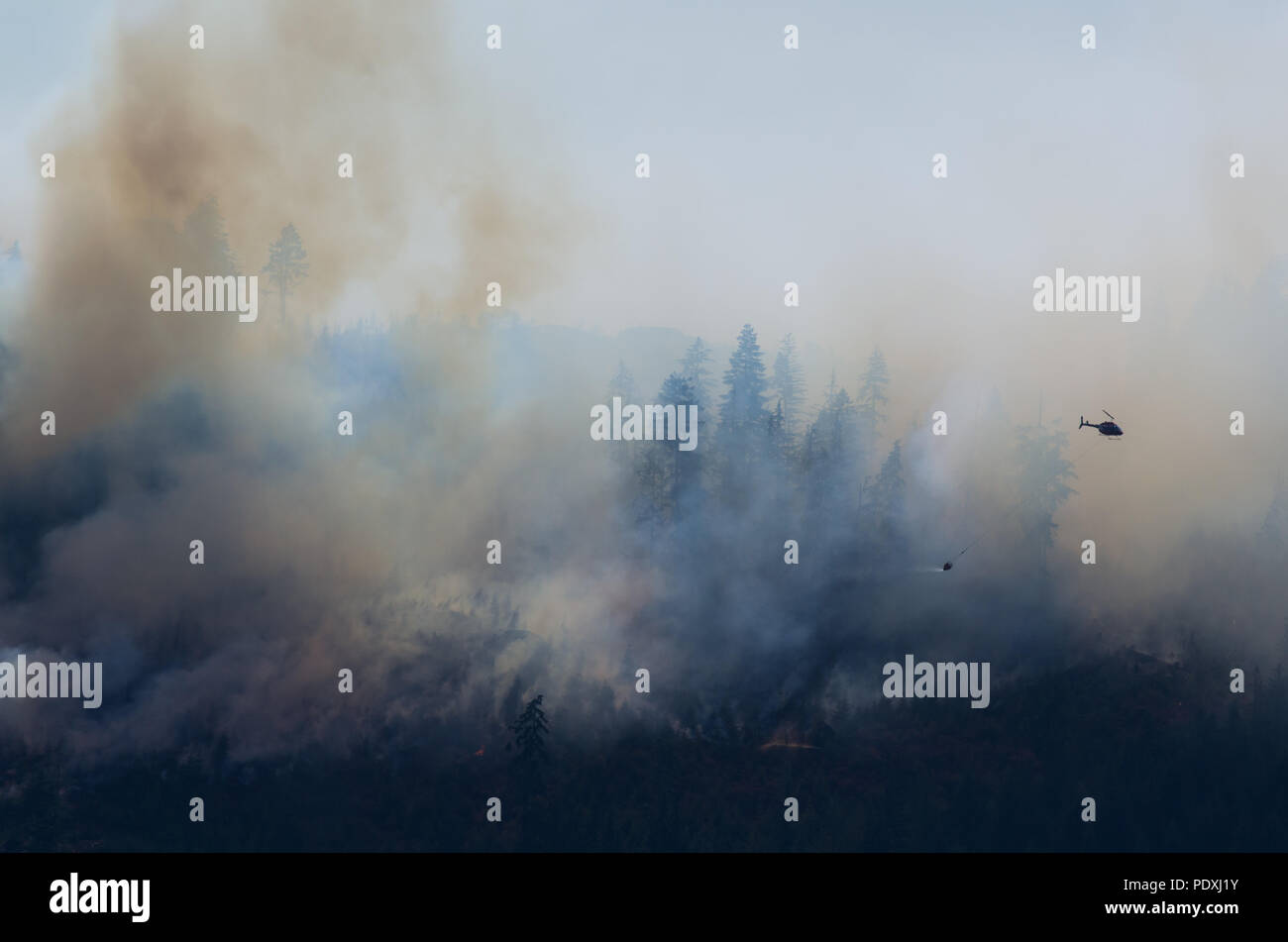 Helicopters Battling Port Alberni Arbutus Ridge Forest Fire Stock Photo ...