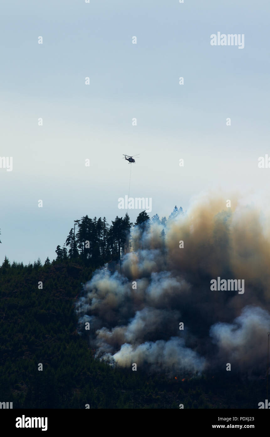 Helicopters Battling Port Alberni Arbutus Ridge Forest Fire Stock Photo ...