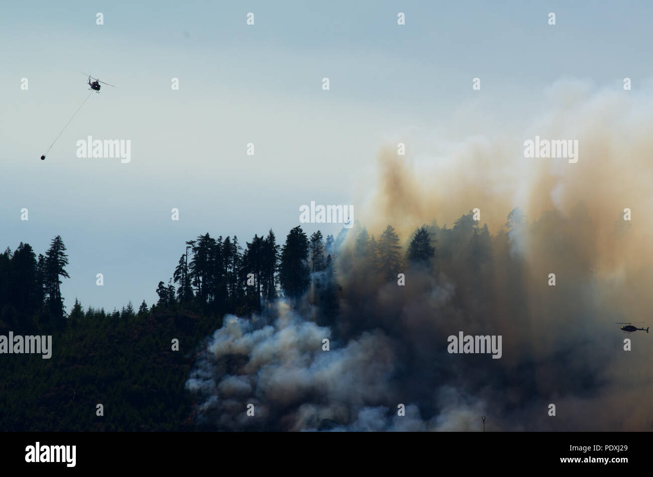 Helicopters Battling Port Alberni Arbutus Ridge Forest Fire Stock Photo ...