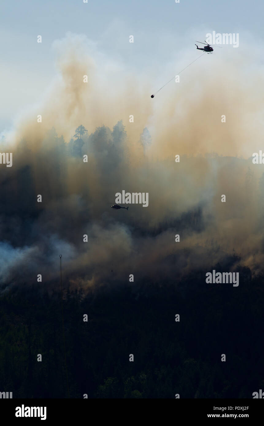 Helicopters Battling Port Alberni Arbutus Ridge Forest Fire Stock Photo ...