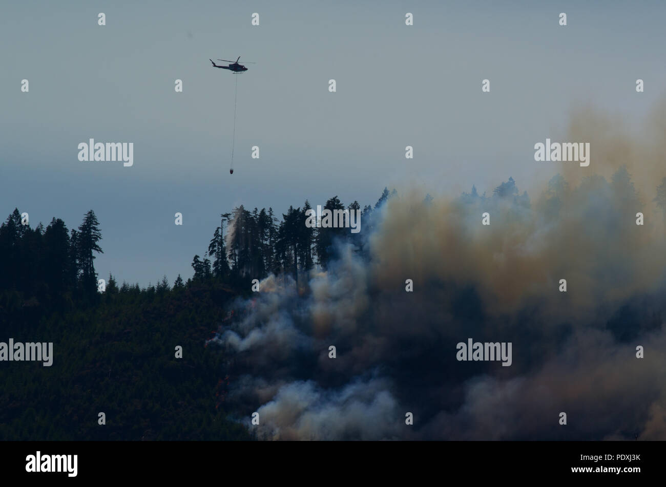 Helicopters Battling Port Alberni Arbutus Ridge Forest Fire Stock Photo ...