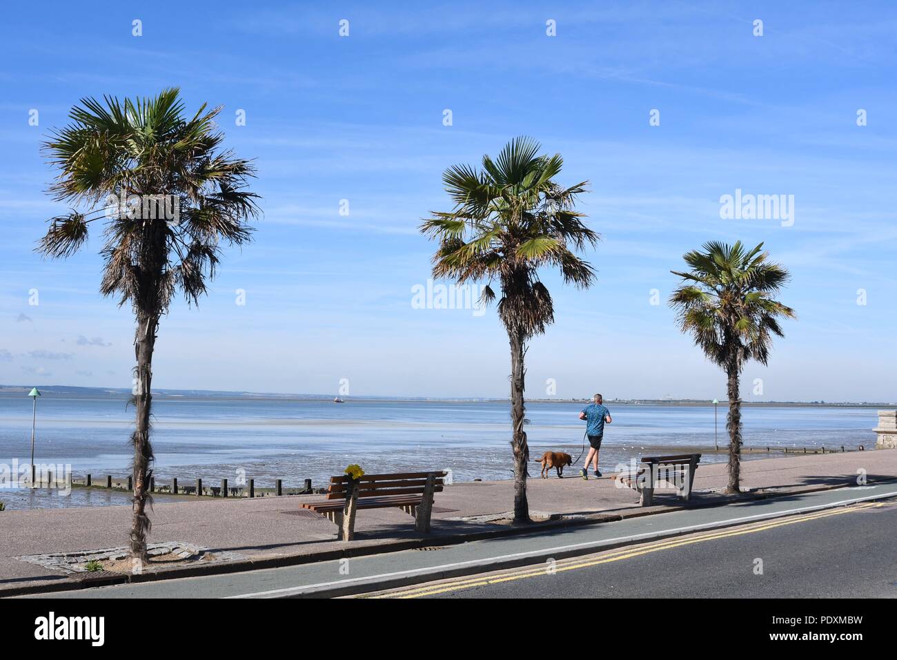 Person running in uk landscape summer hi-res stock photography and ...