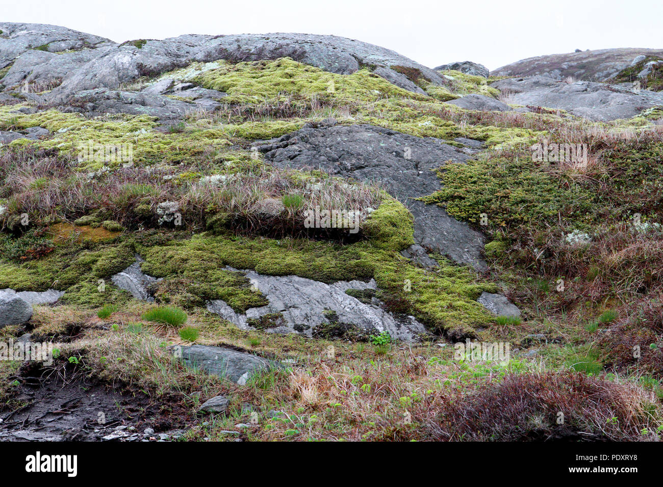 Trans labrador highway hi-res stock photography and images - Alamy