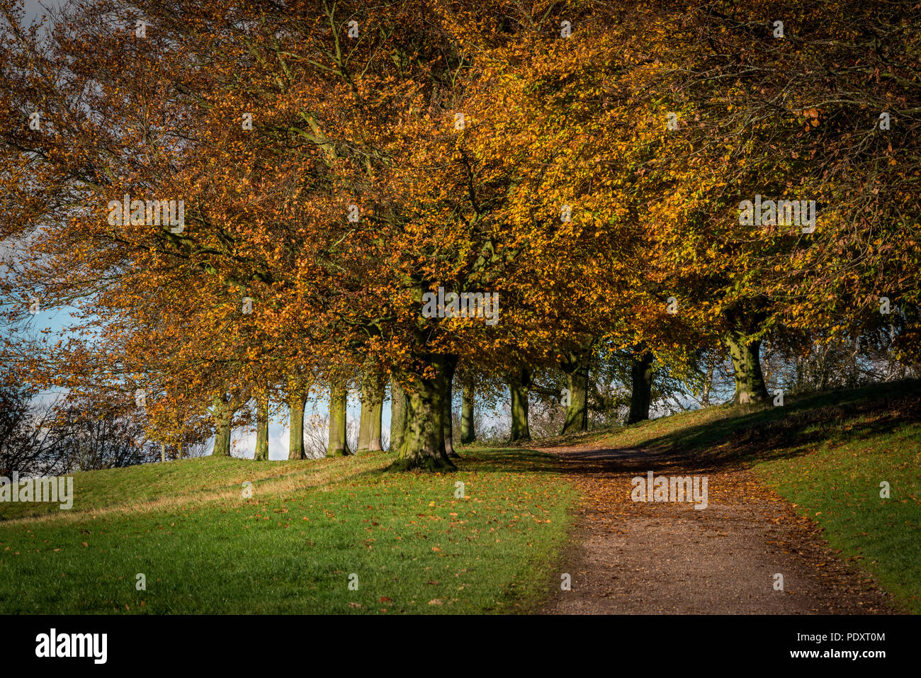 Ampthill hi-res stock photography and images - Alamy