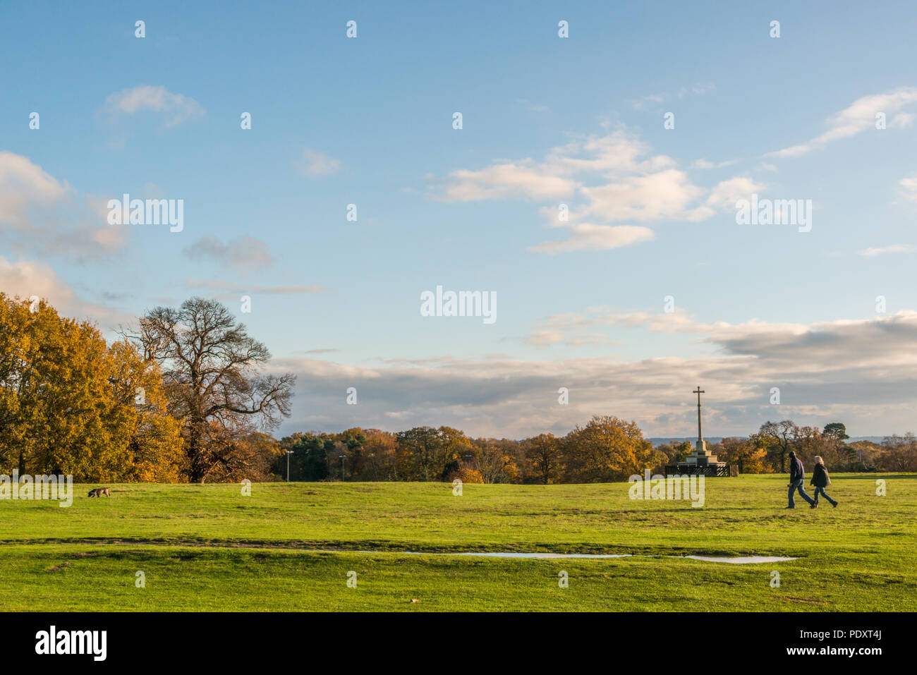 Ampthill park hi-res stock photography and images - Alamy