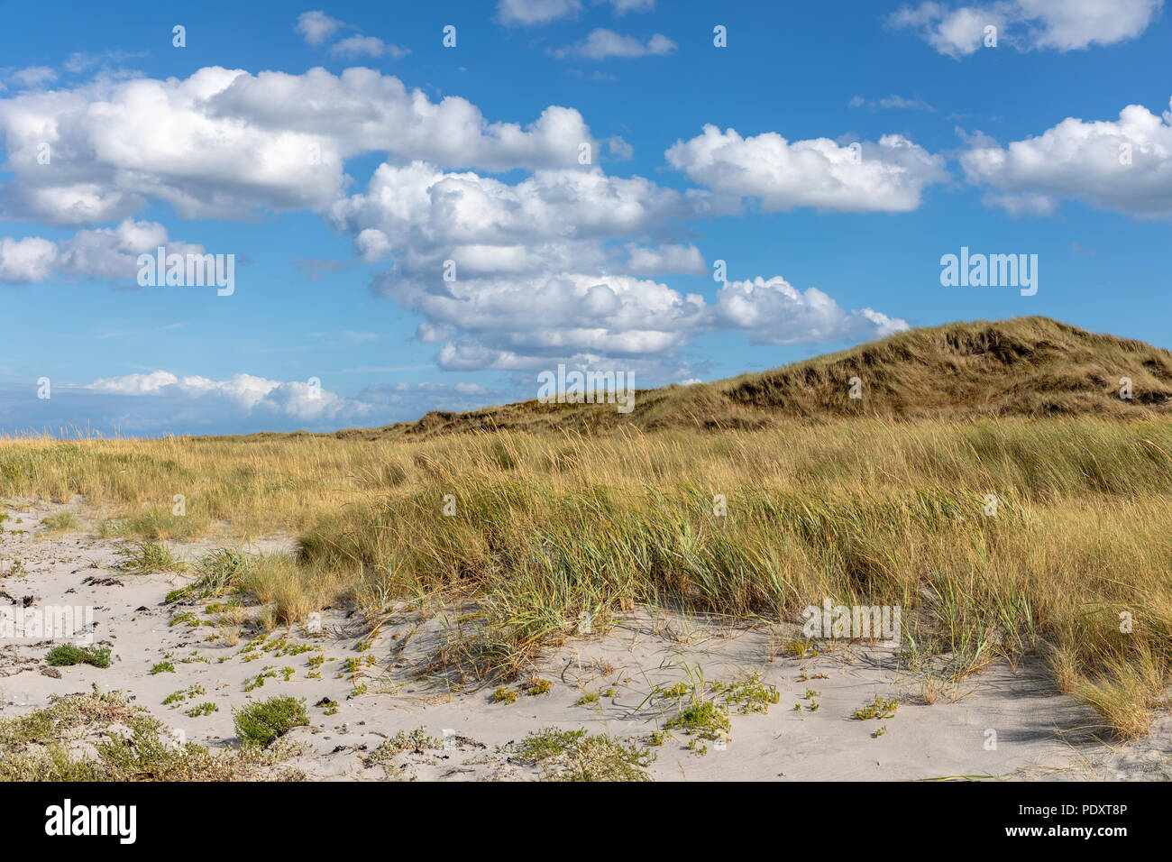 Laeso Island Denmark High Resolution Stock Photography and Images - Alamy
