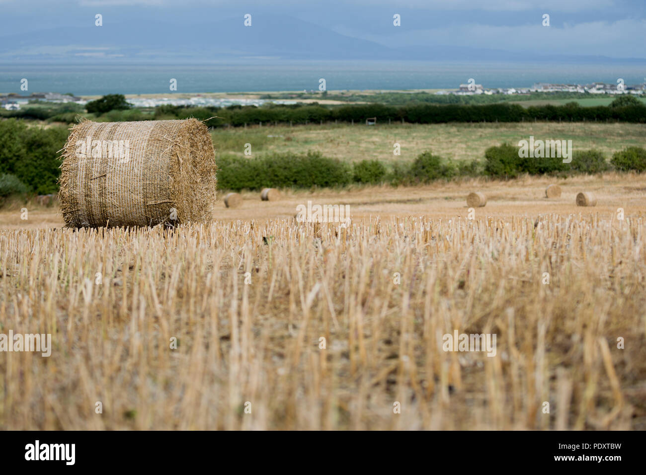 Solway coast aonb hi-res stock photography and images - Alamy