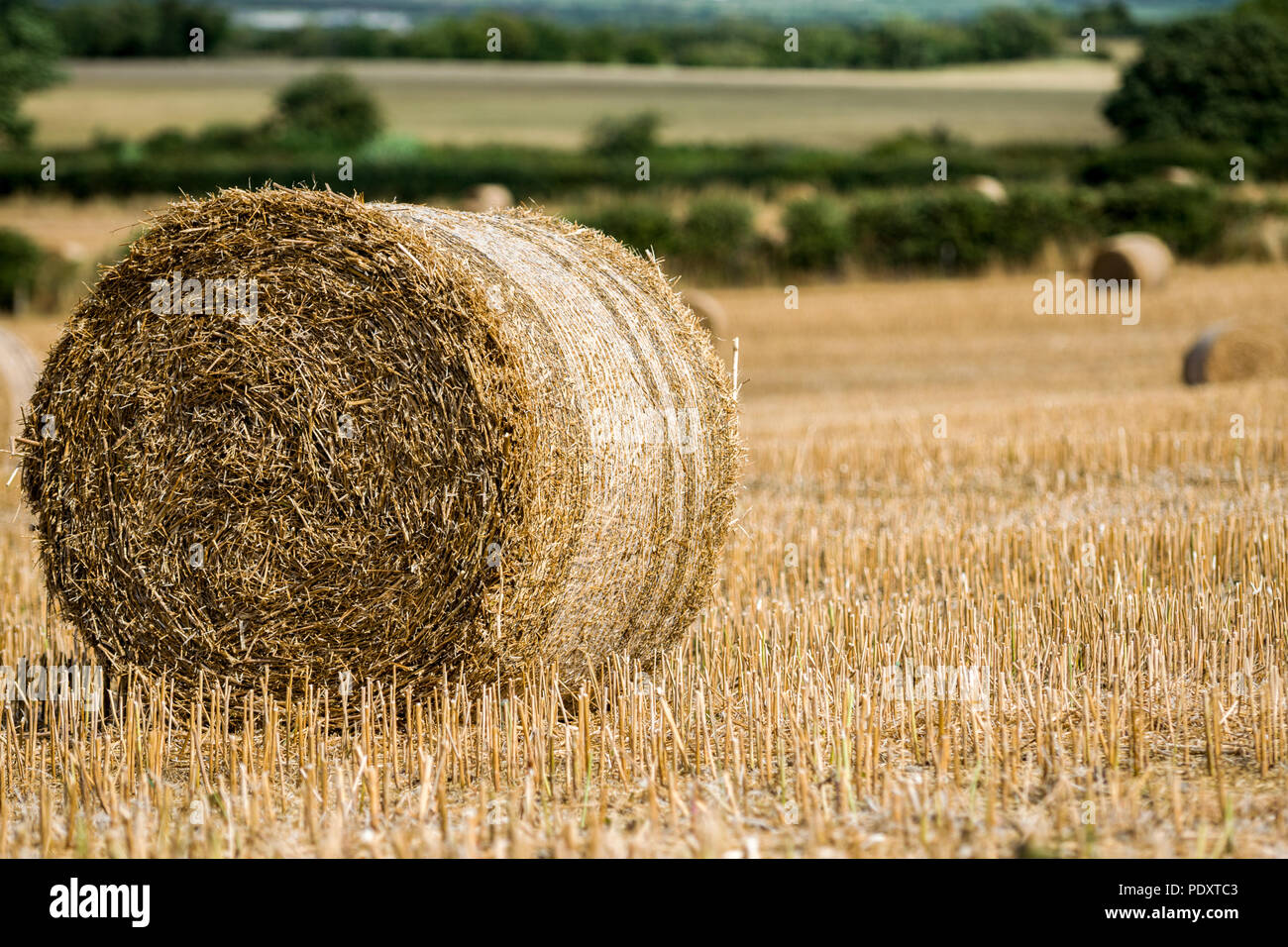 Weast hi-res stock photography and images - Alamy