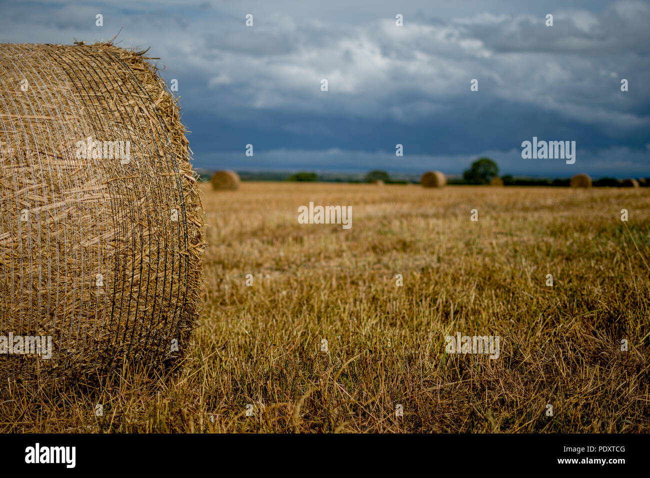 Solway coast aonb hi-res stock photography and images - Alamy