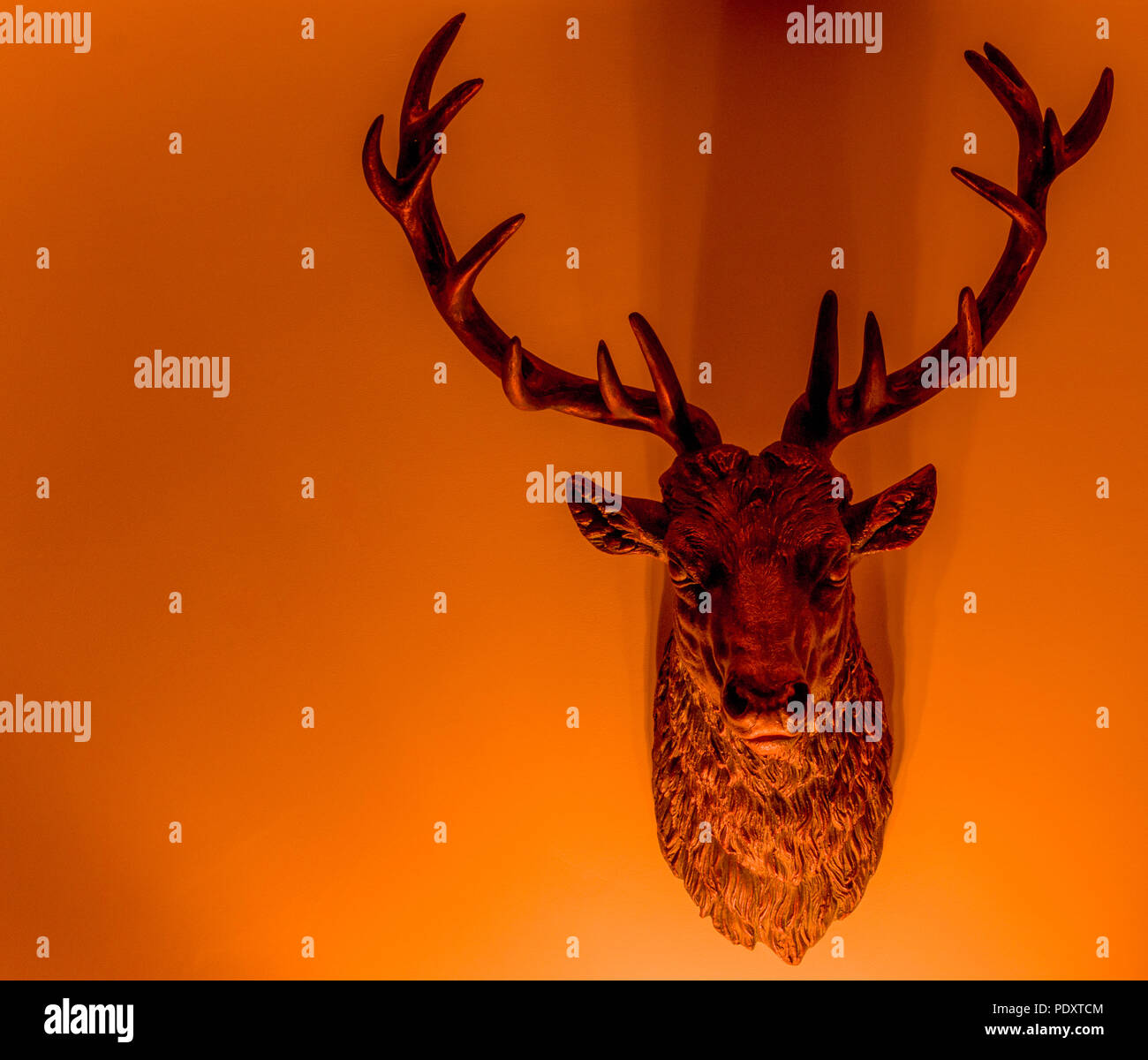 Stagg hi-res stock photography and images - Alamy