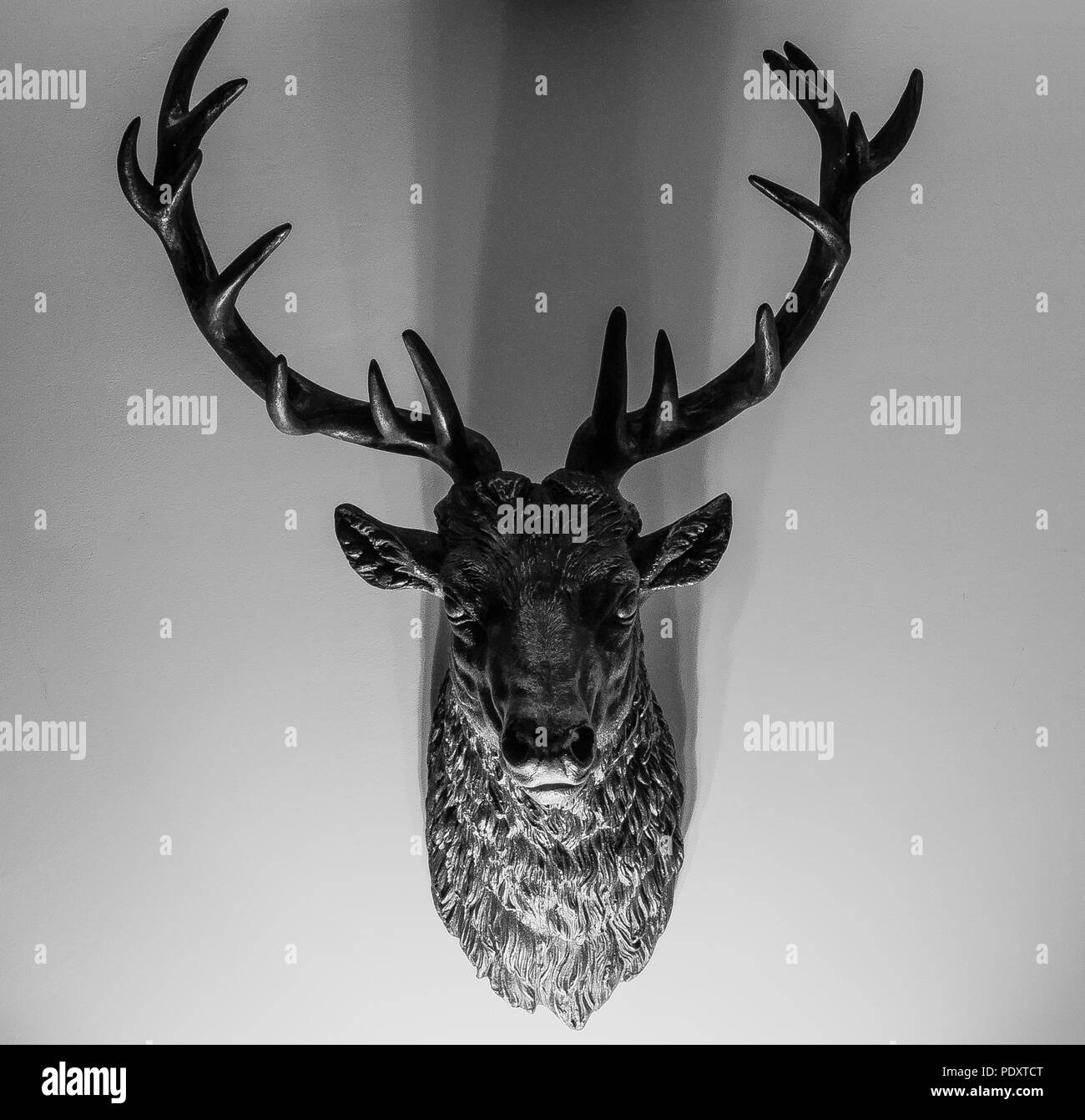 Mounted deer head Black and White Stock Photos & Images - Alamy