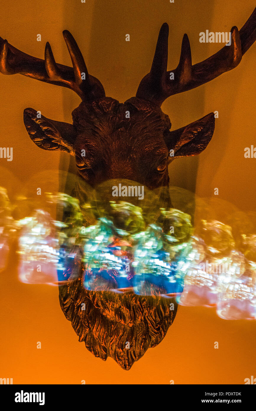 Stagg hi-res stock photography and images - Alamy