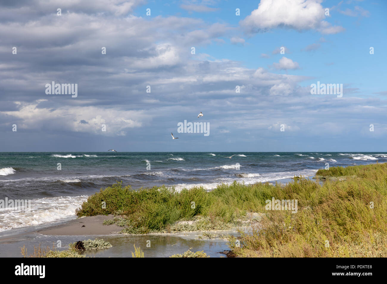 Laeso Island Denmark High Resolution Stock Photography and Images - Alamy
