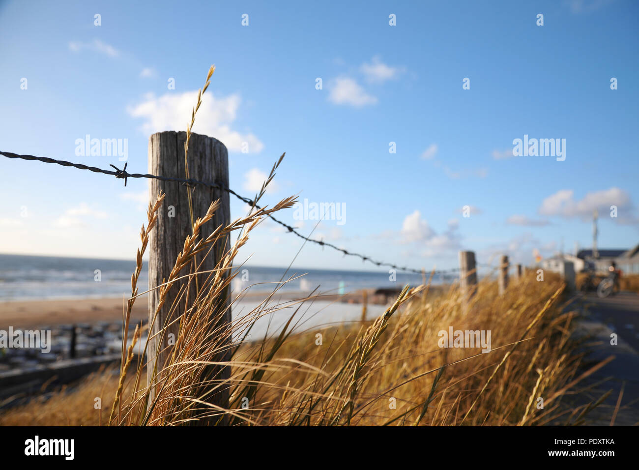 Fence along a beach, surrounded by grass with blue skies Stock Photo ...